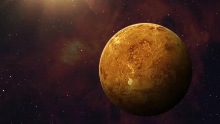 金星の極での生活