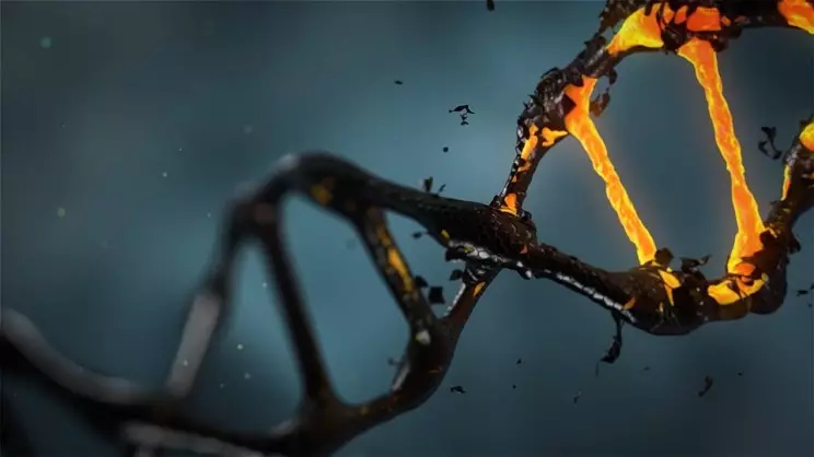 Ang footage sa CRISPR nga Pag-edit sa DNA sa mga Segundo Gipahibalo Lang