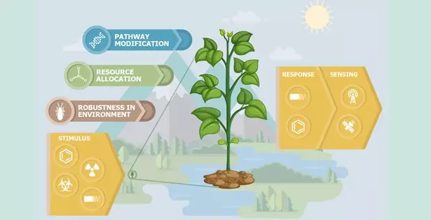 DARPA desenvolupa plantes que podrien 