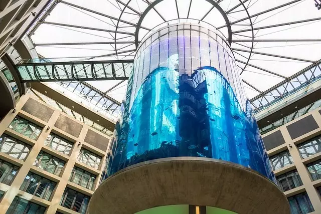 您可以在世界上最大的圆柱形水族馆内乘坐电梯