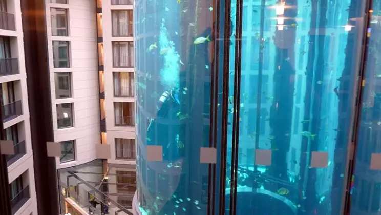 Puedes subirte a un elevador dentro del acuario cilíndrico más grande del mundo