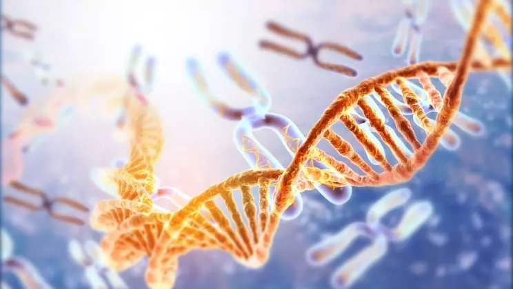 Paylaşılan gen varyantları yeni COVID-19 tedavi yöntemlerini ortaya çıkarabilir