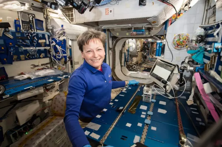 אסטרונאוטים יכולים כעת לזהות חיידקים בבטחה בתחנת החלל הבינלאומית