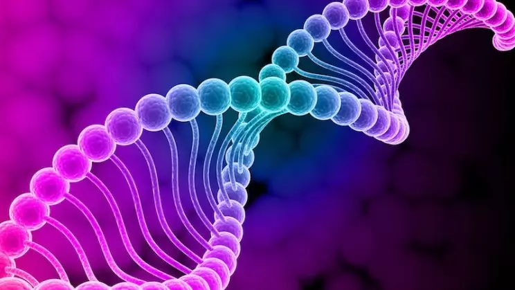 연구원들은 DNA를 사용하여 광학 안테나 생성에 영감을 주고 있습니다