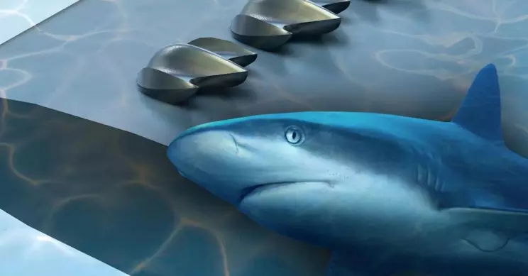 हार्वर्ड इंजीनियर्स एरोडायनामिक प्रदर्शन को बढ़ावा देने के लिए शार्कस्किन को देखते हैं