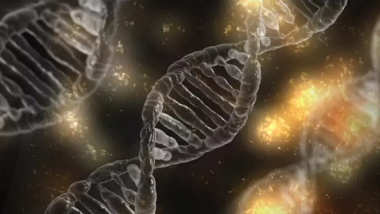 Nei CRISPR Technologie kéint en eenzege Bréif vum DNA Genom änneren