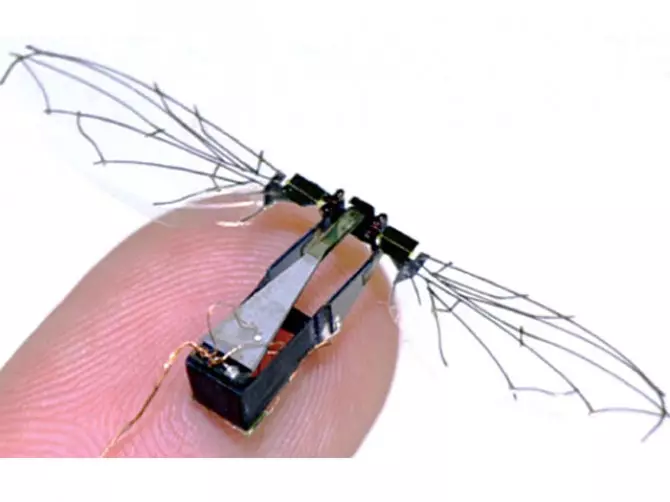 world-s-smallest-flying-robot-makes-first-flight-1367783784-2926