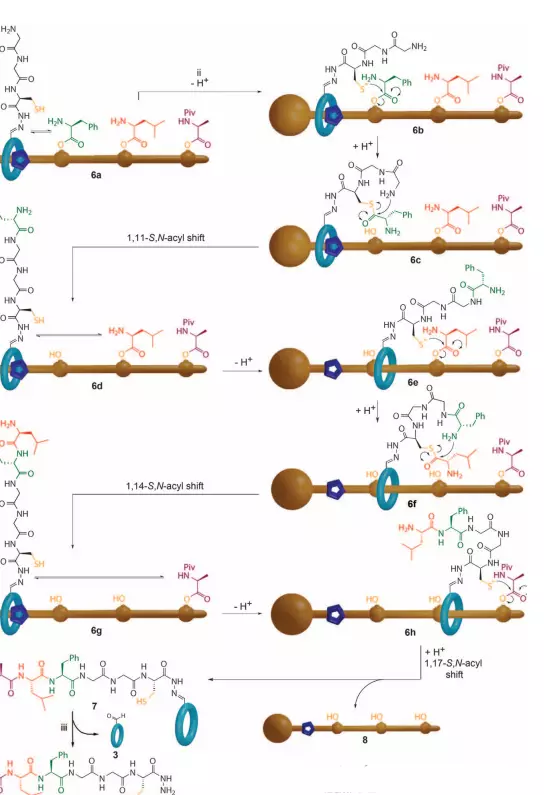 Molecular Machine Gibuhat sa Manchester