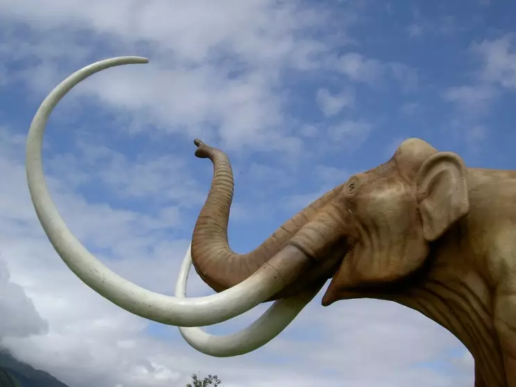 Ny mpahay siansa Harvard dia nanao Clone Hybrids Mammoth-Elephant