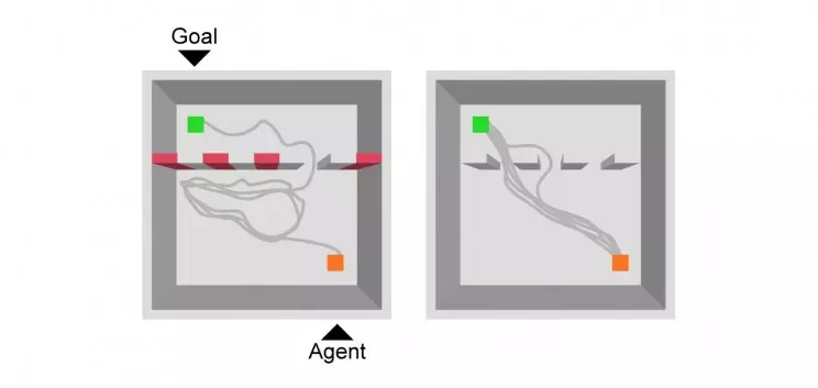 Labyrinth-Léisung Kënschtlech Intelligenz léiert sech Ofkierzungen ze huelen