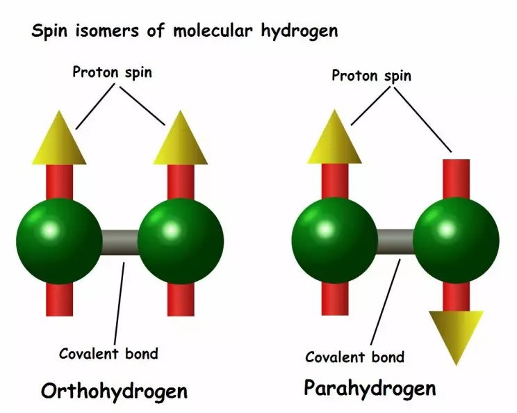 ဟိုက်ဒရိုဂျင်၏ Isomer ကို လှည့်ပတ်သည်။