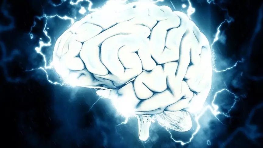 מוחות טרנסג'נדרים דומים לסריקות MRI מזוהות מגדריות