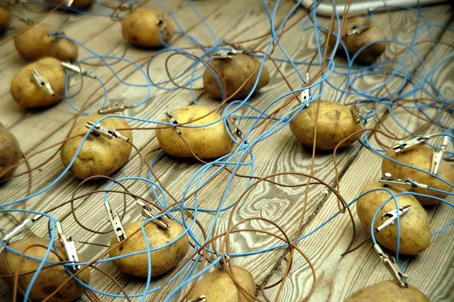 Potato to Power LED-světla a elektronika