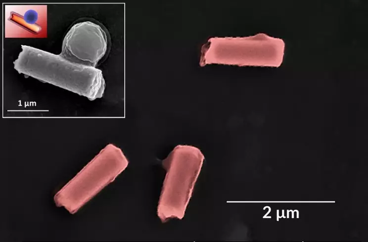 Nanobots Powered Ultrasonik Mbusak Racun lan Bakteri saka Getih