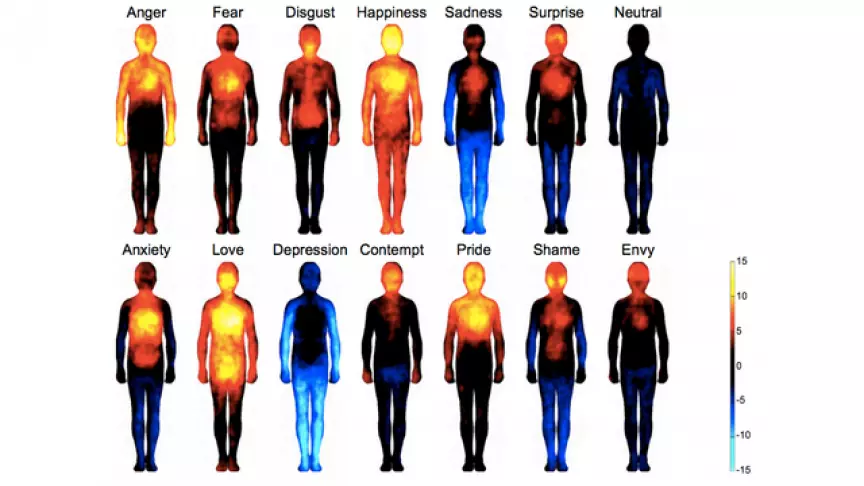 Emosional Atlas Hər Duyğunun Bədənə Təsir Etdiyi Yerləri göstərir