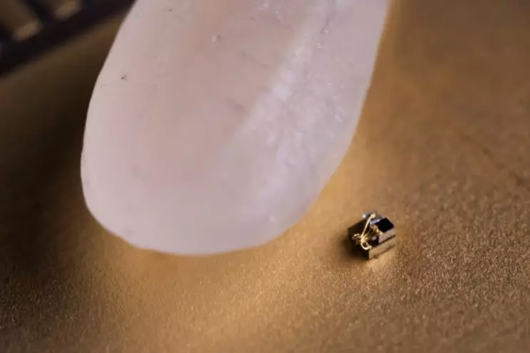 'S Werelds kleinste computer wordt overschaduwd door een rijstkorrel