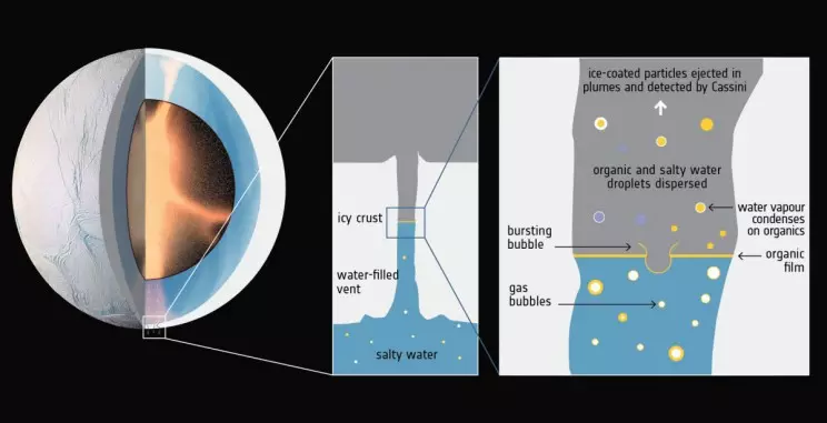 Органічний матеріал, необхідний для життя, знайдений на крижаному водному супутнику Сатурна Енцеладі