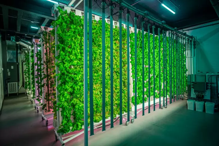 vertikal Bauerenhaff zipgrow