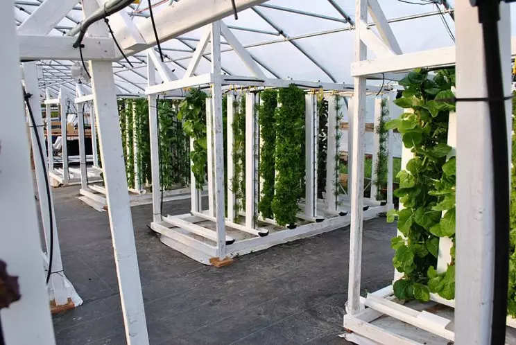 កសិដ្ឋានបញ្ឈរ hydroponics