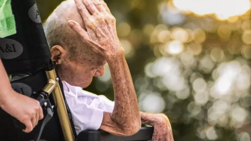 Жаңы изилдөө Герпести Альцгеймер оорусу менен байланыштырат
