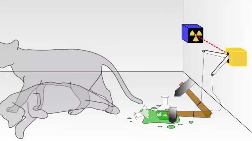 შრედინგერის კატის პარადოქსი: ვინ მოკლა კატა?