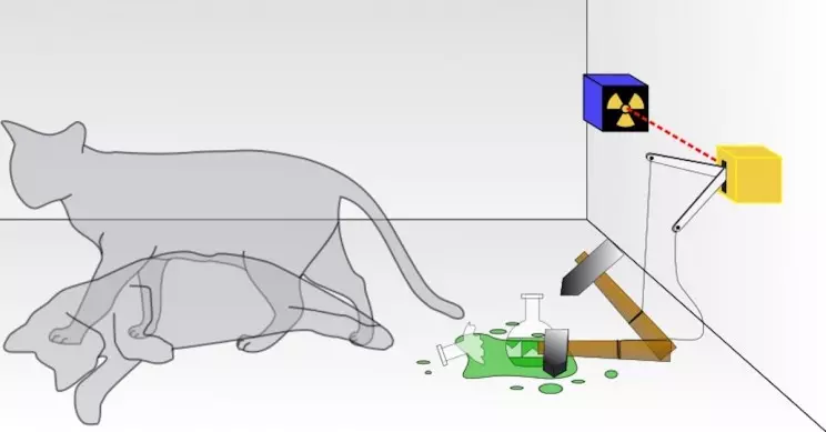 Cat Paradox Schrödinger: Hver drap köttinn?