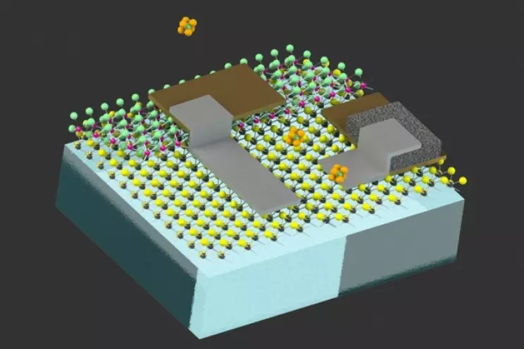 Les nanobots de la taille d'une cellule peuvent calculer et détecter leur environnement