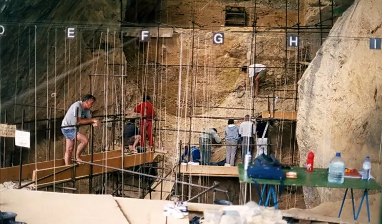 560,000-Year-Old Milk Tooth Natagpuan Sa Isang French Cave