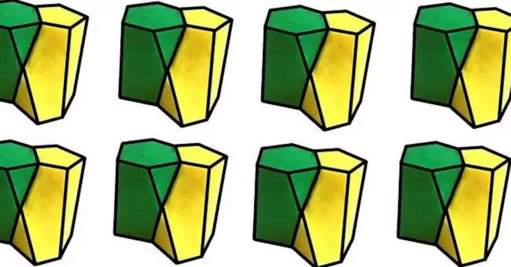 Ny geometrisk form opdaget som effektiv celleopbevaring i naturen