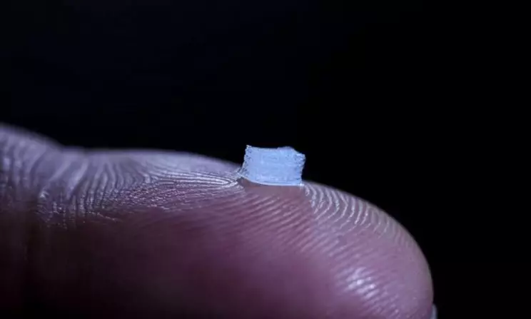 3D inprimatutako gailu txikiak zauritutako bizkarrezur-muinak gorde ditzake