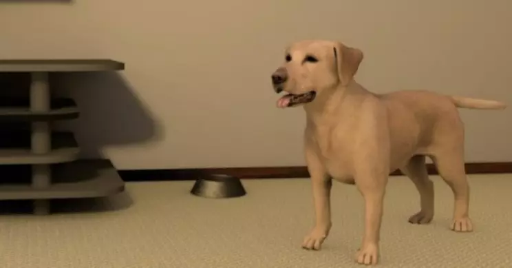 Este cão de realidade virtual pode salvar pessoas de mordidas de cachorro