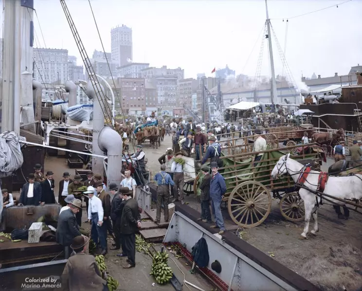 Banana Docks, New York, Ca. 1890 - 1910.