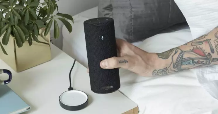 Alexa tormab, kui tal palutakse esitada populaarset Baby Shark laulu