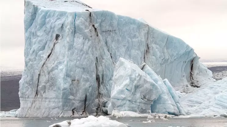 Massive muorren bouwe op seeboaiem koe ierde rêde fan gefolgen fan klimaatferoaring