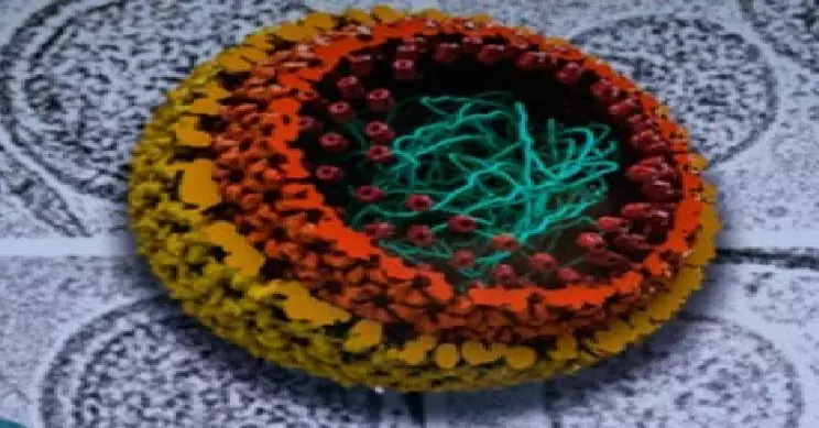 Pequena molécula identificada como alvo principal do tratamento do HIV