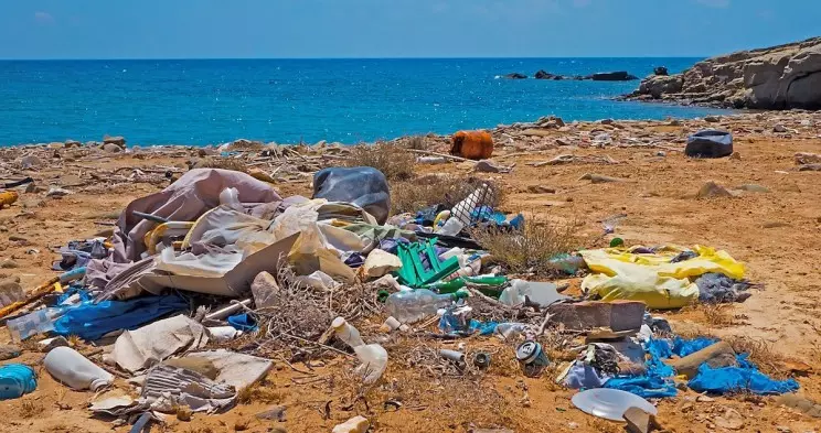 Die Europese Parlement verbied die gebruik van eenmalige plastiek vanaf 2021