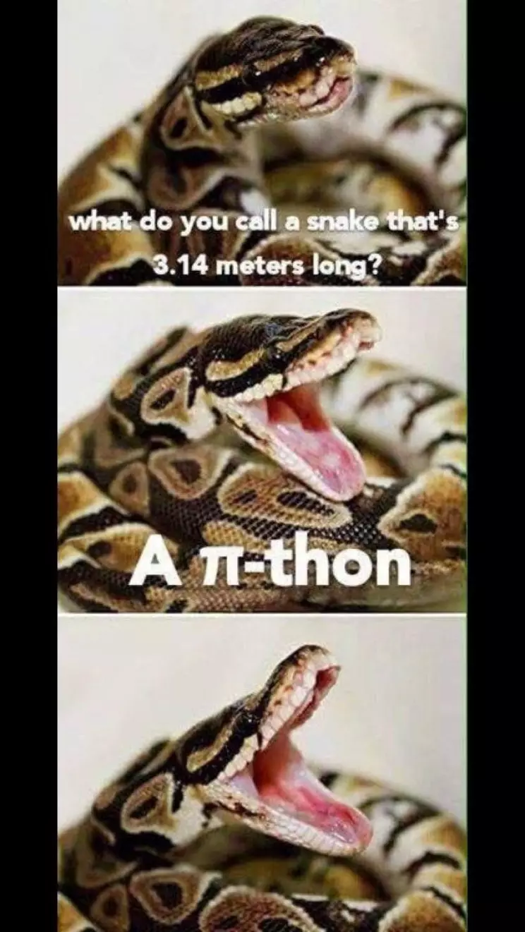 amuzaj memoj pri scienca serpento