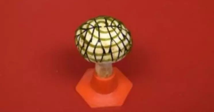 Bionic 'Wonderland' Mushroom Inovhura Manzwisisiro Matsva Mukugadzira Magetsi