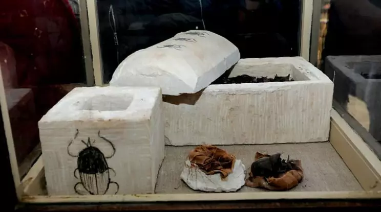 scarab mummy Egypte