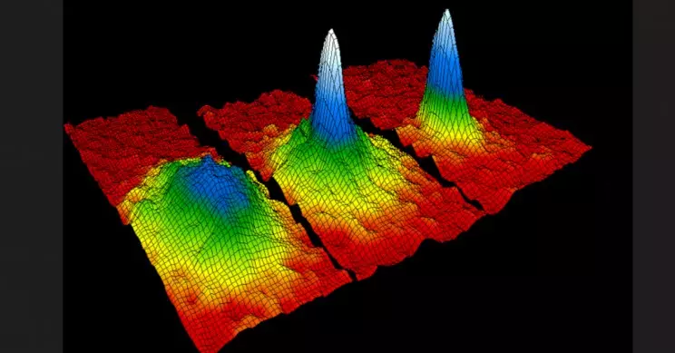 I-Quantum Biology: I-Spooky, Imfihlakalo, futhi Iyisisekelo Ekuphileni Kwakho