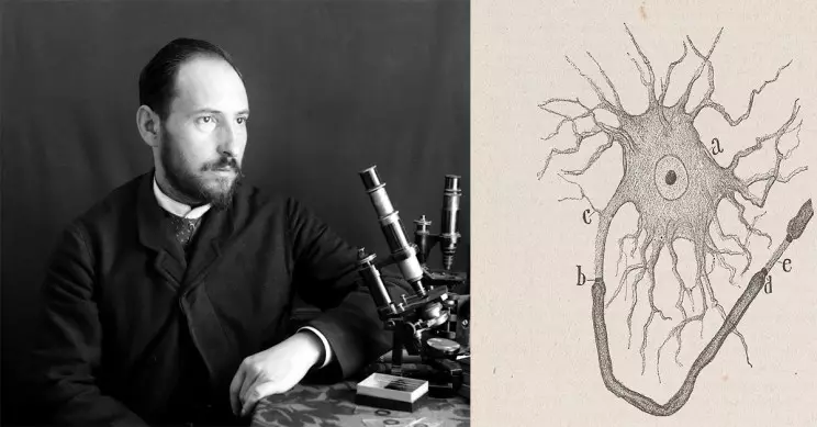 Santiago Ramon y Cajal 神经元绘图