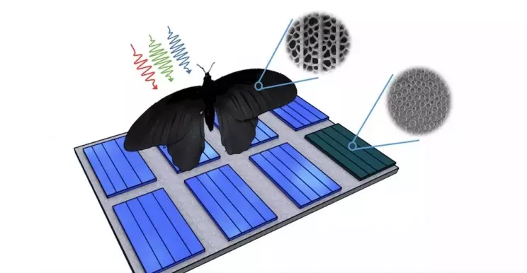 Biomimicry: 9 manieren waarop ingenieurs door de natuur zijn 'geïnspireerd'