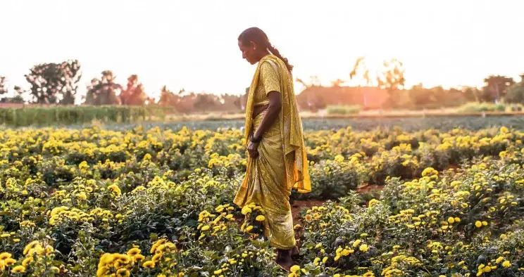 9 अभियांत्रिकी आणि विज्ञान धर्मादाय संस्था या सुट्टीच्या हंगामात देणगी देतील