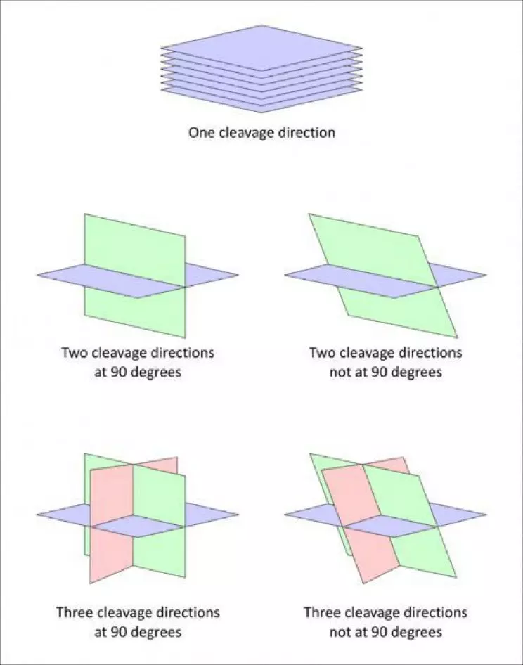 Termes intéressants clivage