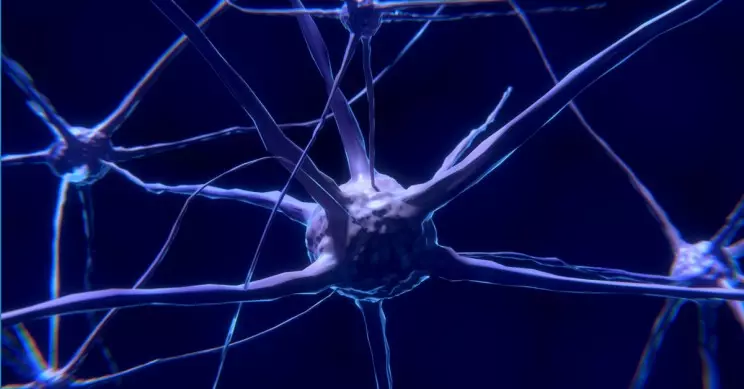 Ikẹkọ Tuntun Pese Imọye Si Awọn Ilana Ibaraẹnisọrọ Neuron