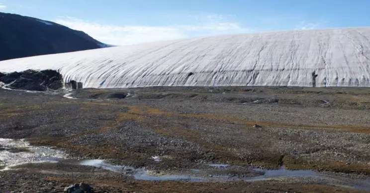 Glaciers Arctic na-agbaze na-ekpughere fungi ọhụrụ ka okpomọkụ nke oke osimiri na-agbaji ndekọ