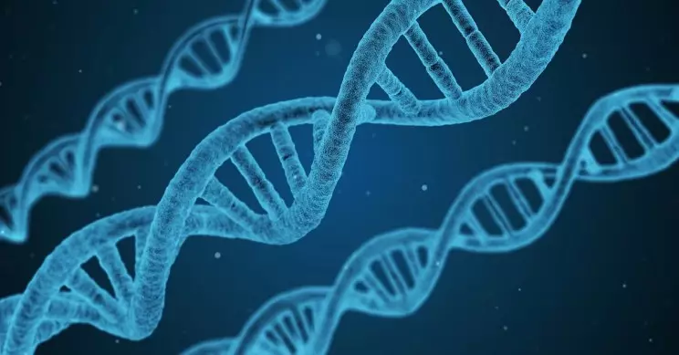 Çin, Bebeklerde CRISPR Gen Düzenlemesini Suçladı ve Jiankui Cezayla Karşı Karşıya Kalabilir