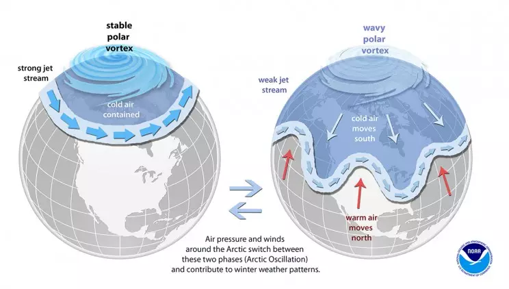 Diagramma a vortice