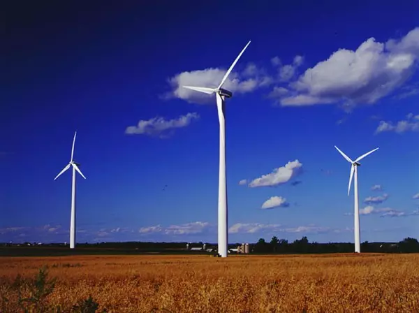 Omgewingsbeoordeling van windturbines: goed of sleg?