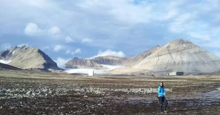 Norvegiyaning uzoqdagi baland arktikasi endi superbuglar tomonidan bosib olingan